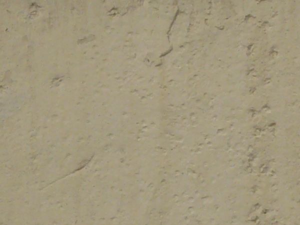 off-white concrete fence texture 0006 - Texturelib